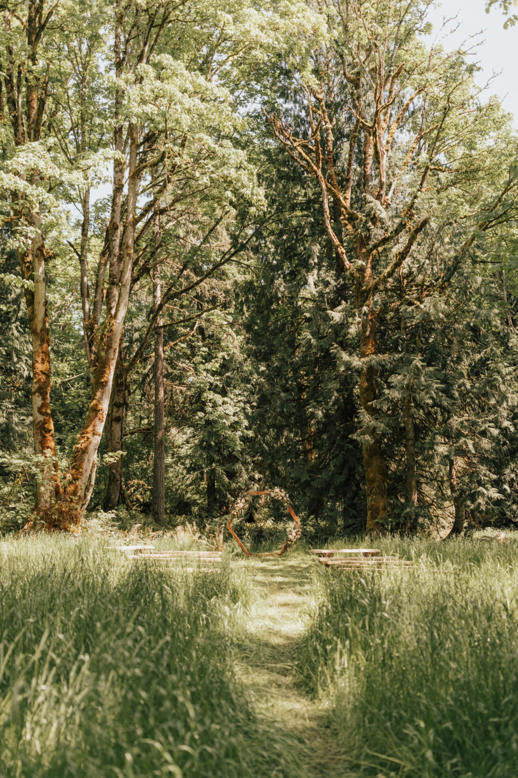 Twilight Forest Wedding|Seattle, Washington|Rachel Syrisko Photography ...